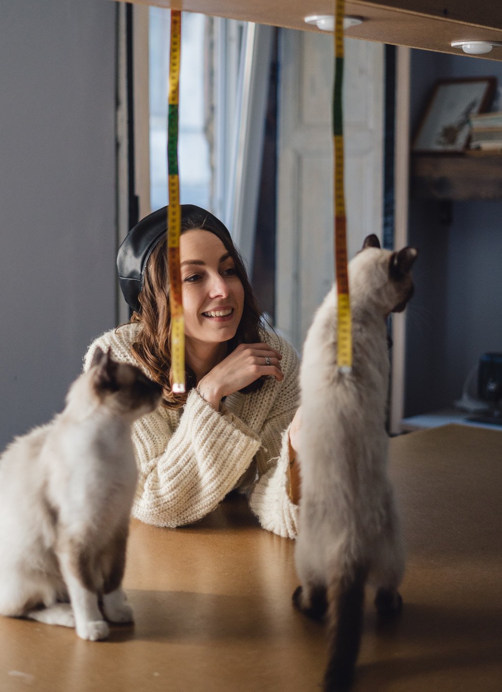 Cat Sitting Service | Kitty & Caboodle | Cat Sitting Service